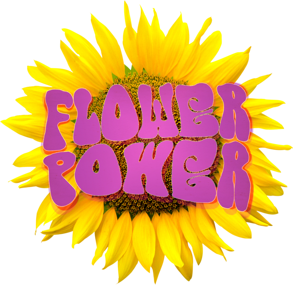 Youth Group | styg.com